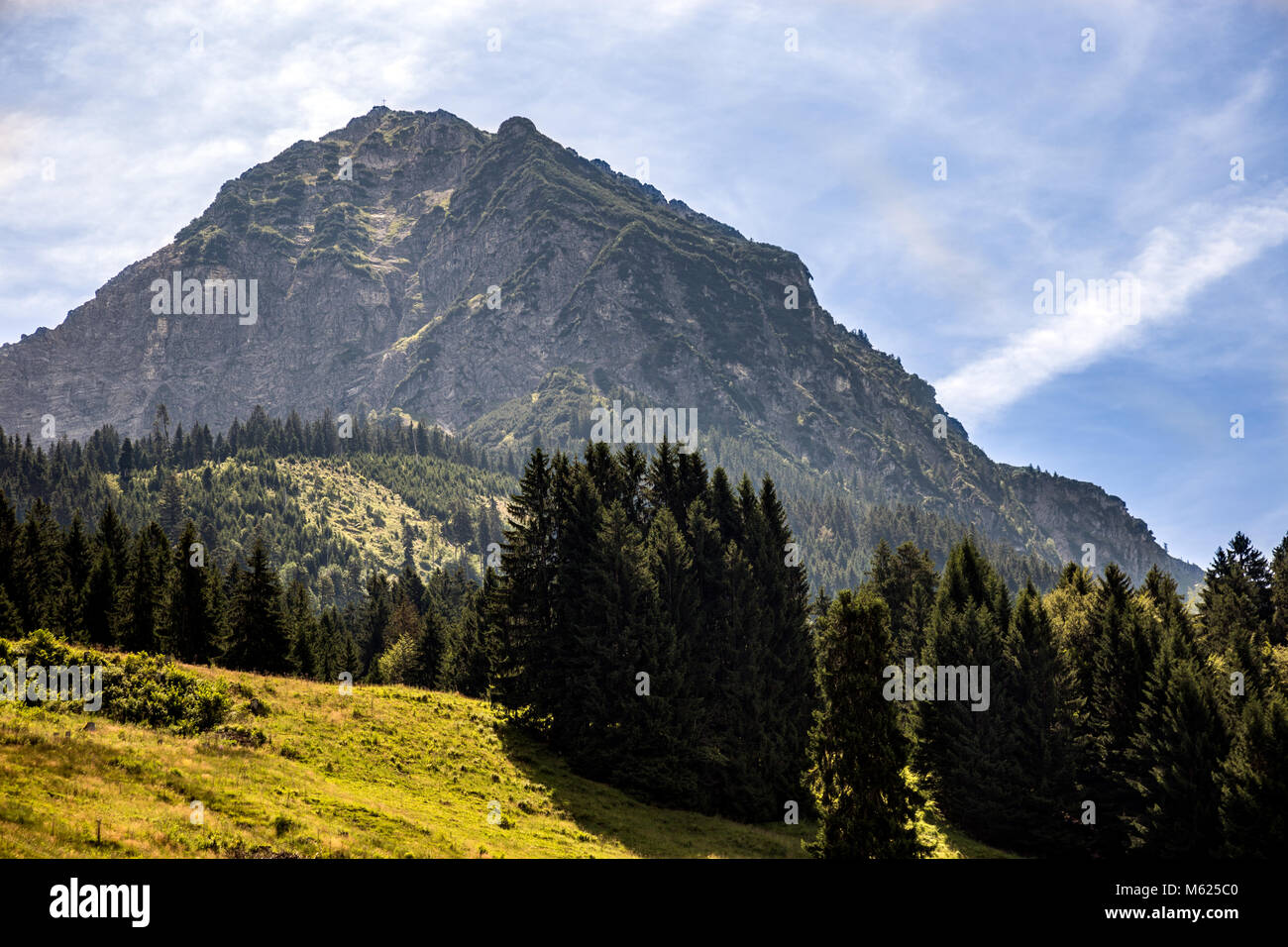 Rubihorn, view from Reichenbach, nearby Oberstdorf, Allgäu, Bavaria ...