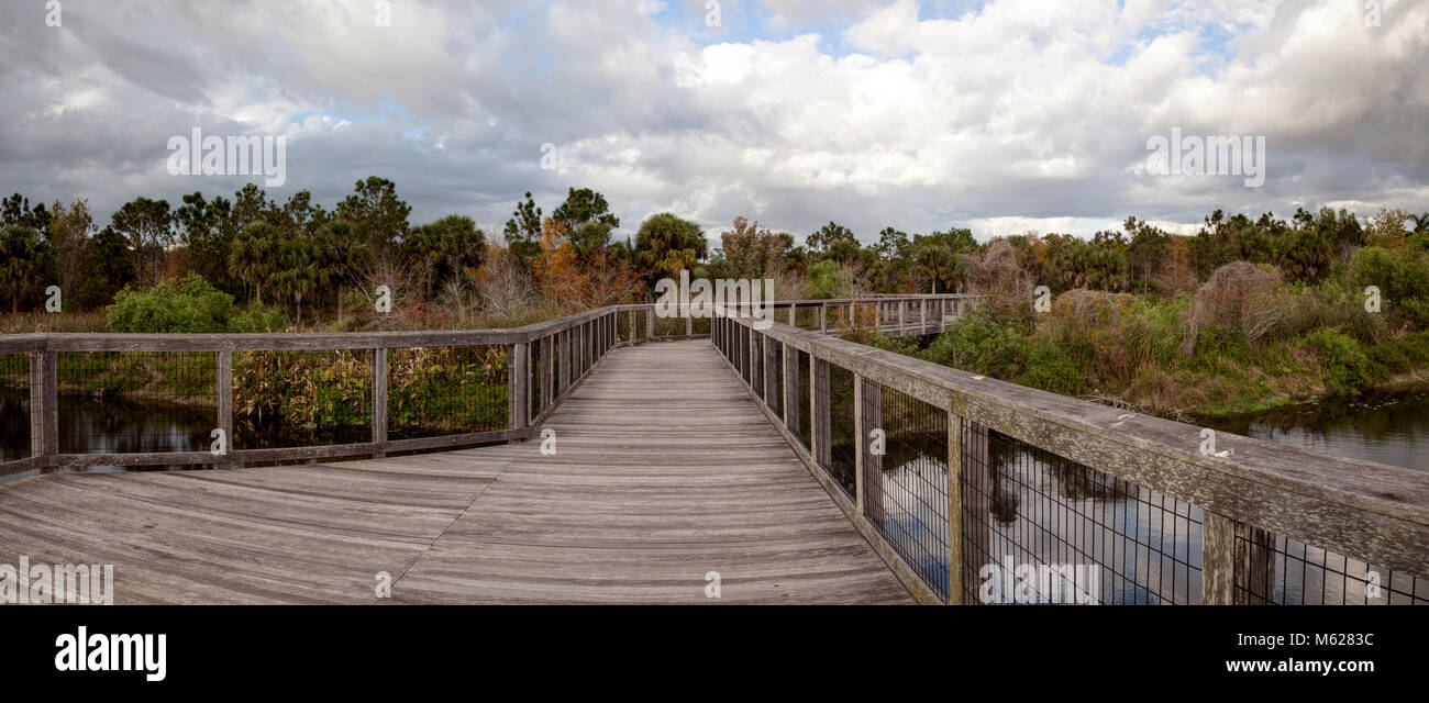 Wooden secluded, tranquil boardwalk along a marsh pond in Freedom Park ...