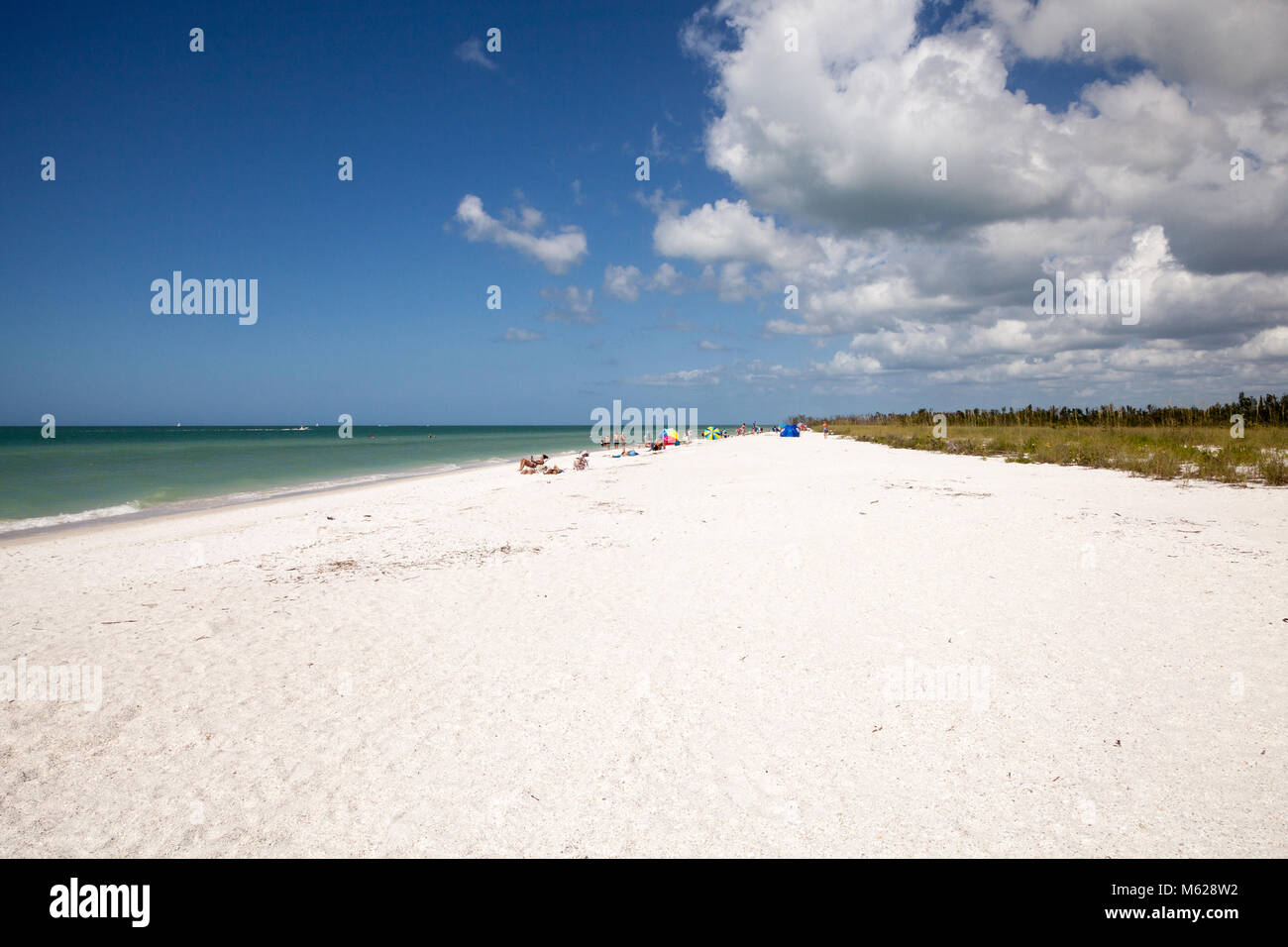 Blue sky over white sand and green beach grass of Tigertail Beach on ...