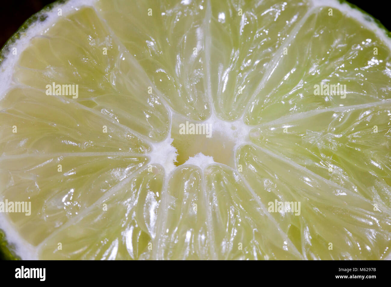 Closeup of lime sliced in half Stock Photo - Alamy