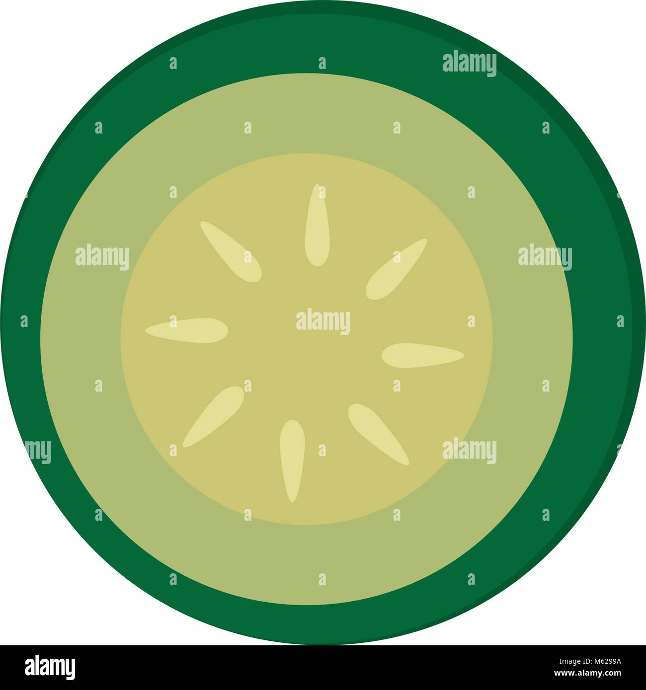 colorful cucumber over white background vector illustration Stock ...