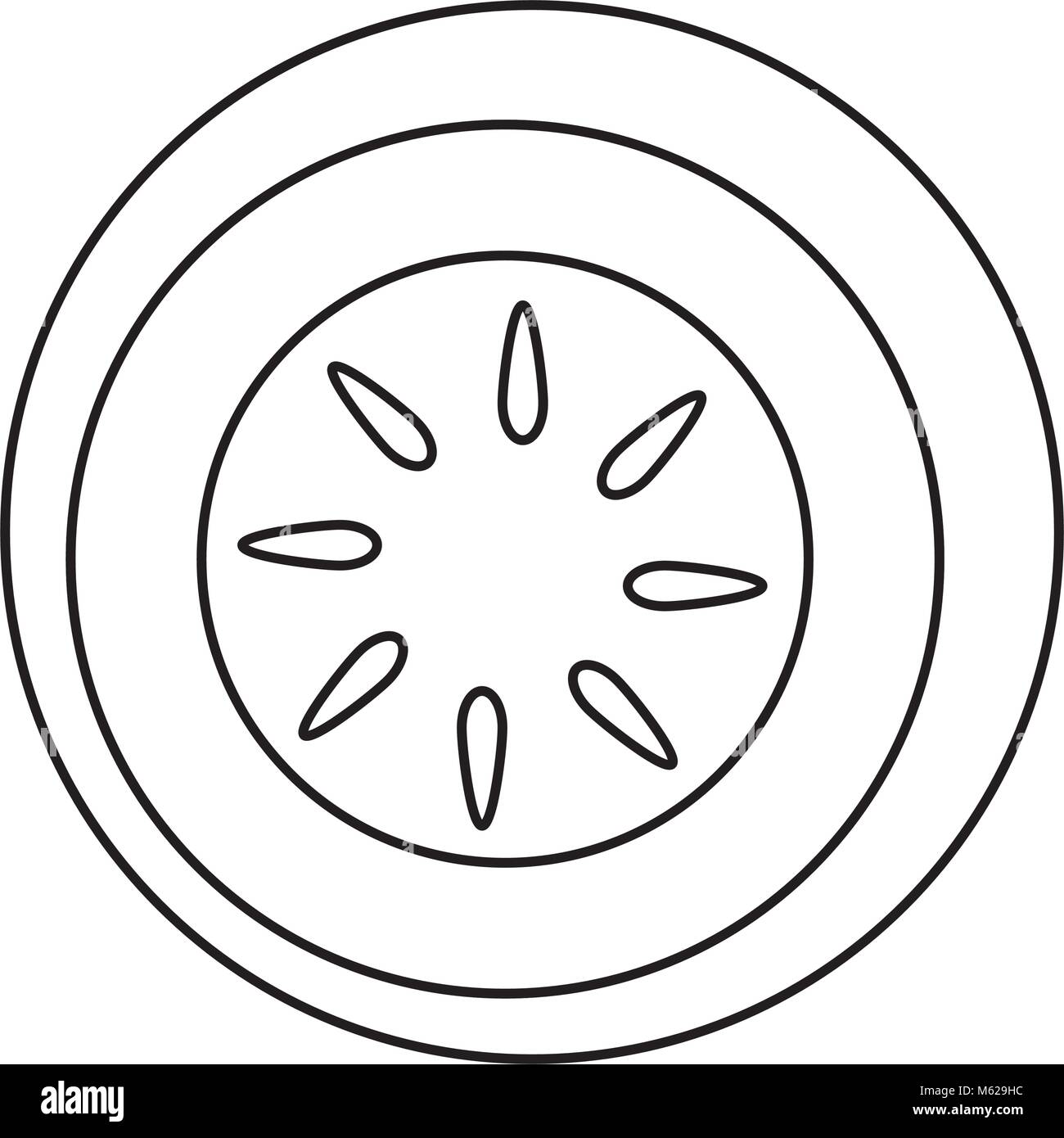 flat line uncolored cucumber over white background vector illustration ...