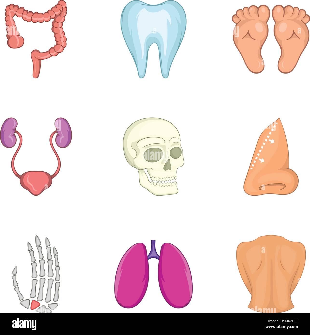 Organism icons set, cartoon style Stock Vector Image & Art - Alamy
