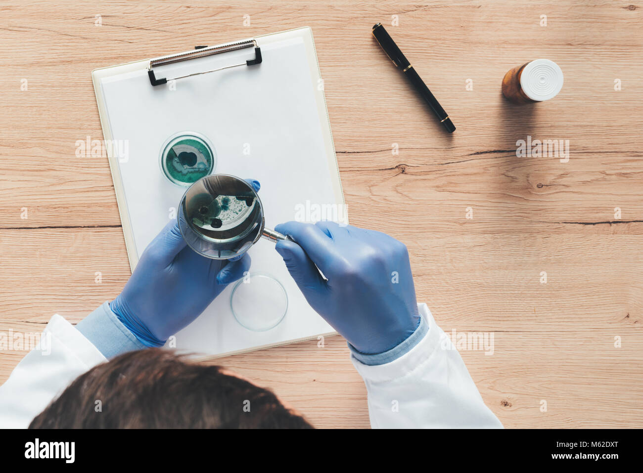 Overhead view of laboratory technician analyzing growing bacterial ...