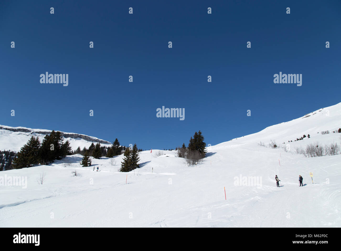Walkers in Foppa in Switzerland Stock Photo - Alamy