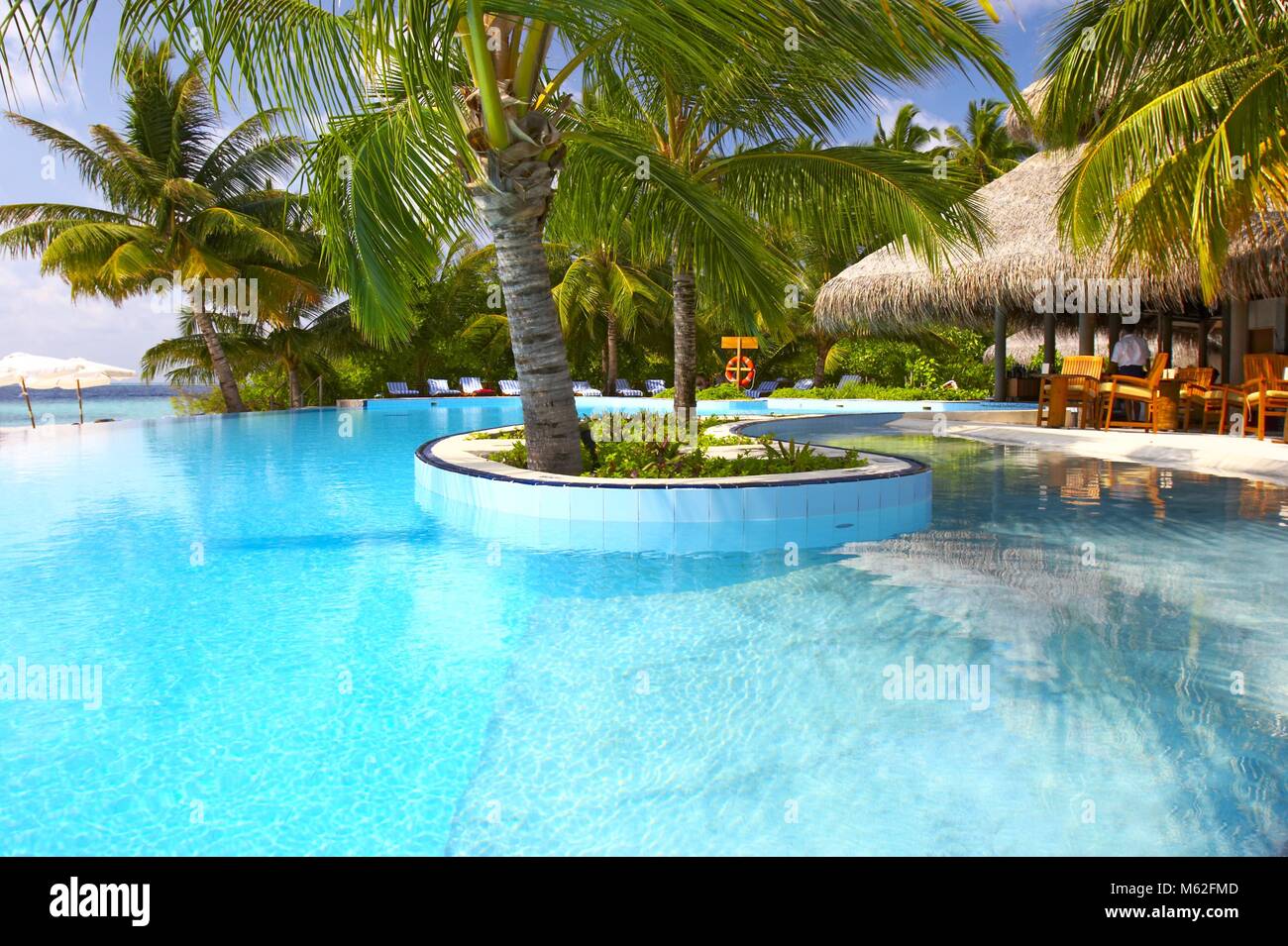 the nice pool, maldives, indian ocean Stock Photo - Alamy