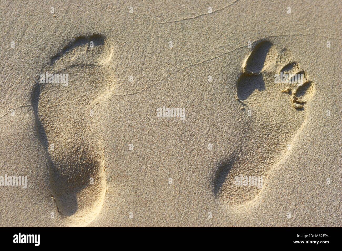 Step free route hi-res stock photography and images - Alamy