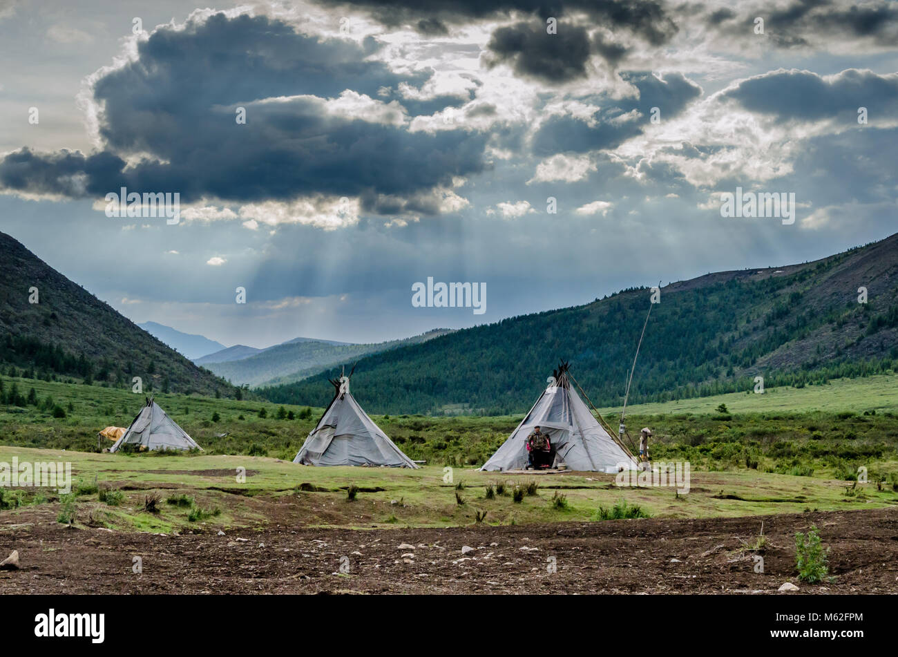 Tsaatan Life, Reindeer Herder, Tsaaganuur, Mongolia Stock Photo - Alamy