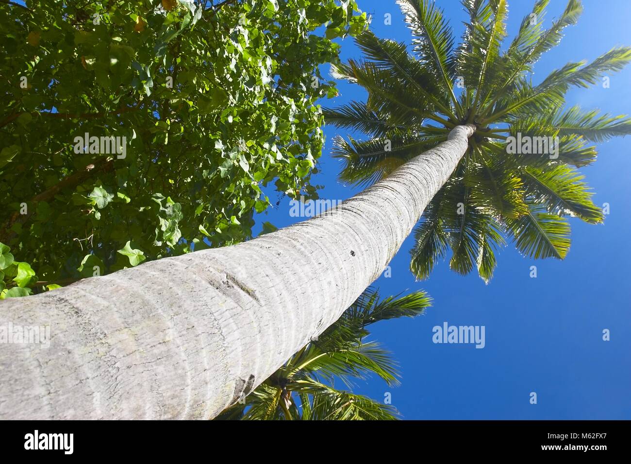 Bahamas maldives hi-res stock photography and images - Alamy