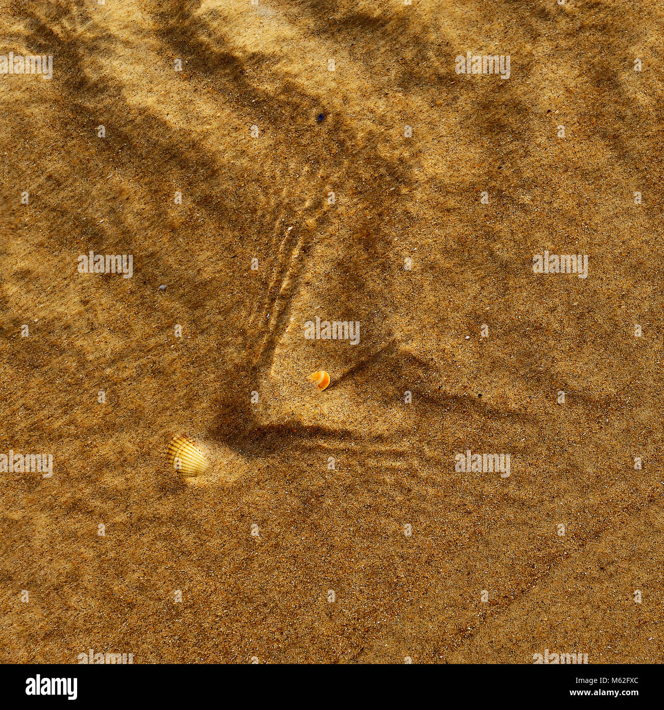 water finding its way on the beach Stock Photo - Alamy