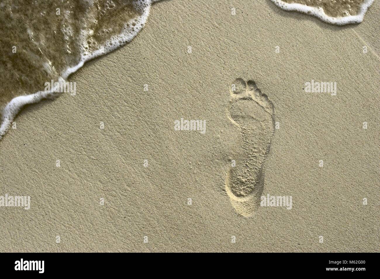 Right footstep on the coral sandy beach Stock Photo - Alamy