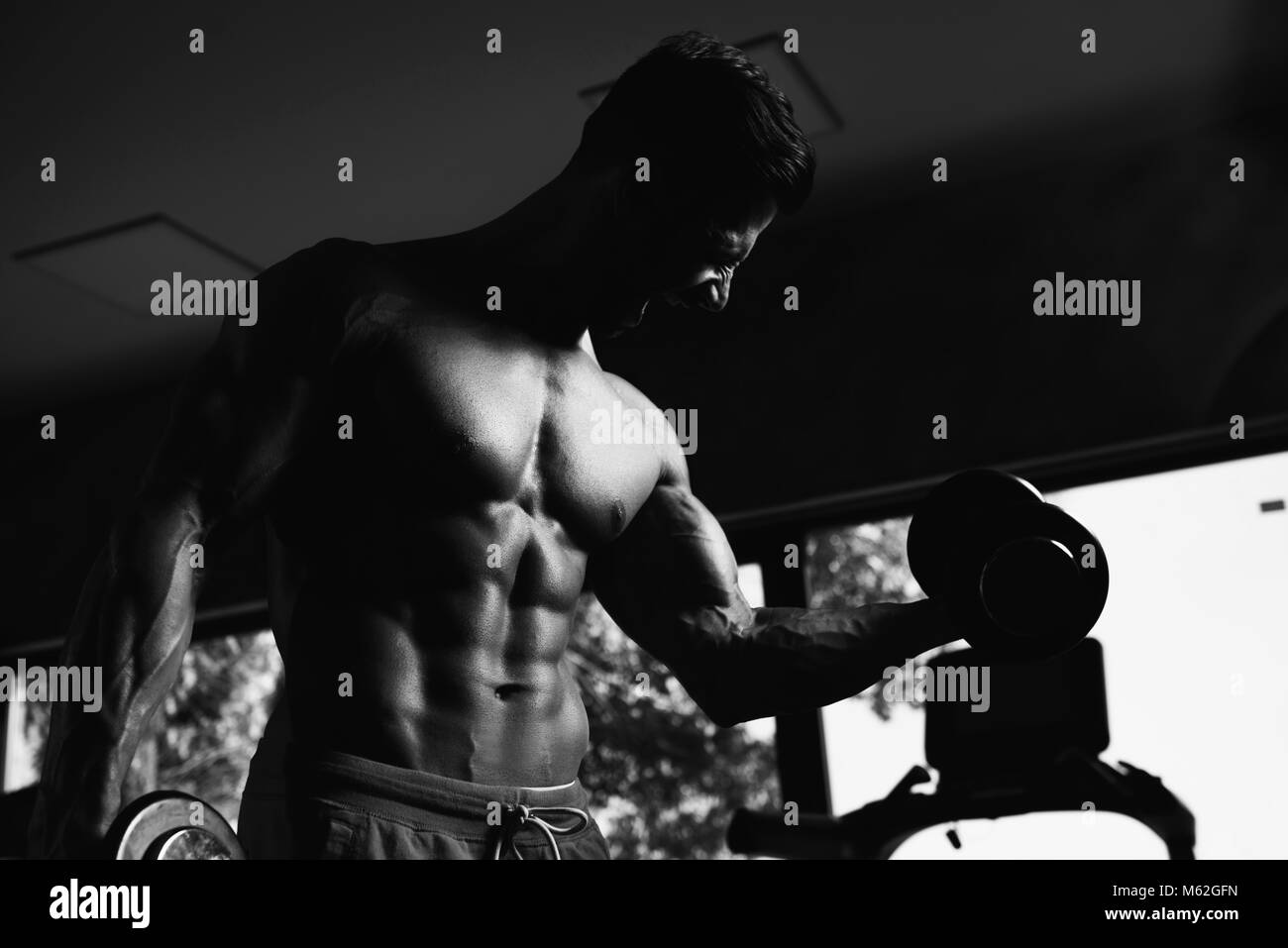 Man Working Out Biceps In A Gym - Dumbbell Concentration Curls Stock ...