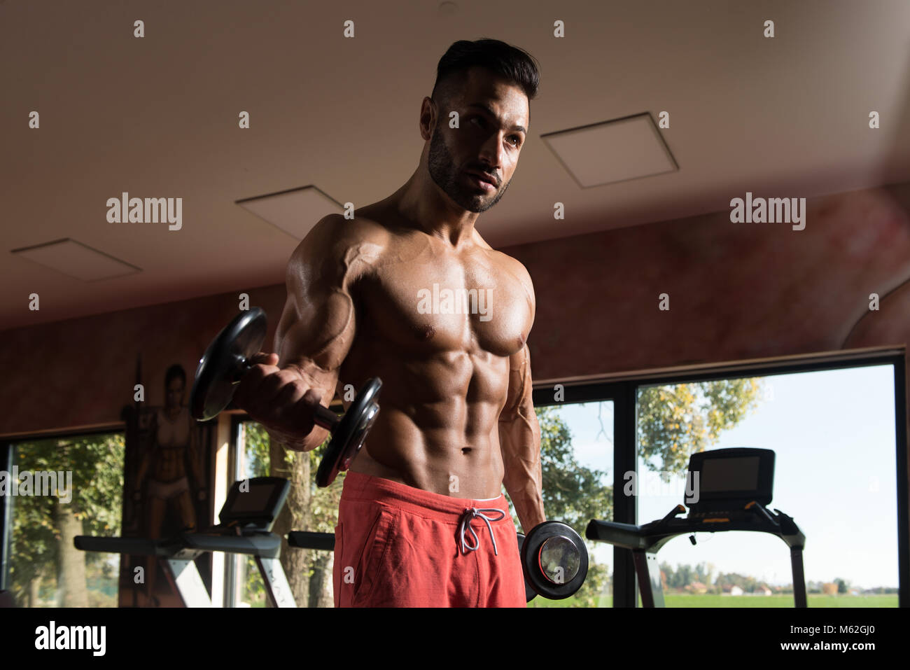 Athlete Working Out Biceps In A Gym - Dumbbell Concentration Curls ...