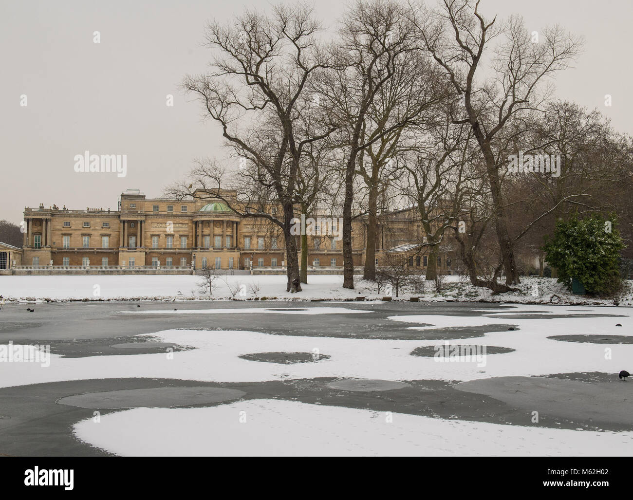 Snow and ice covers a lake in the gardens at Buckingham Palace, London ...