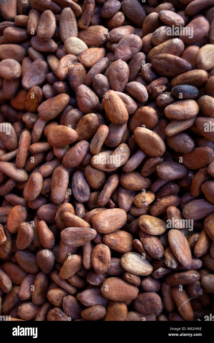Cocoa seeds for sale in a public market in Oaxaca, Mexico Stock Photo ...