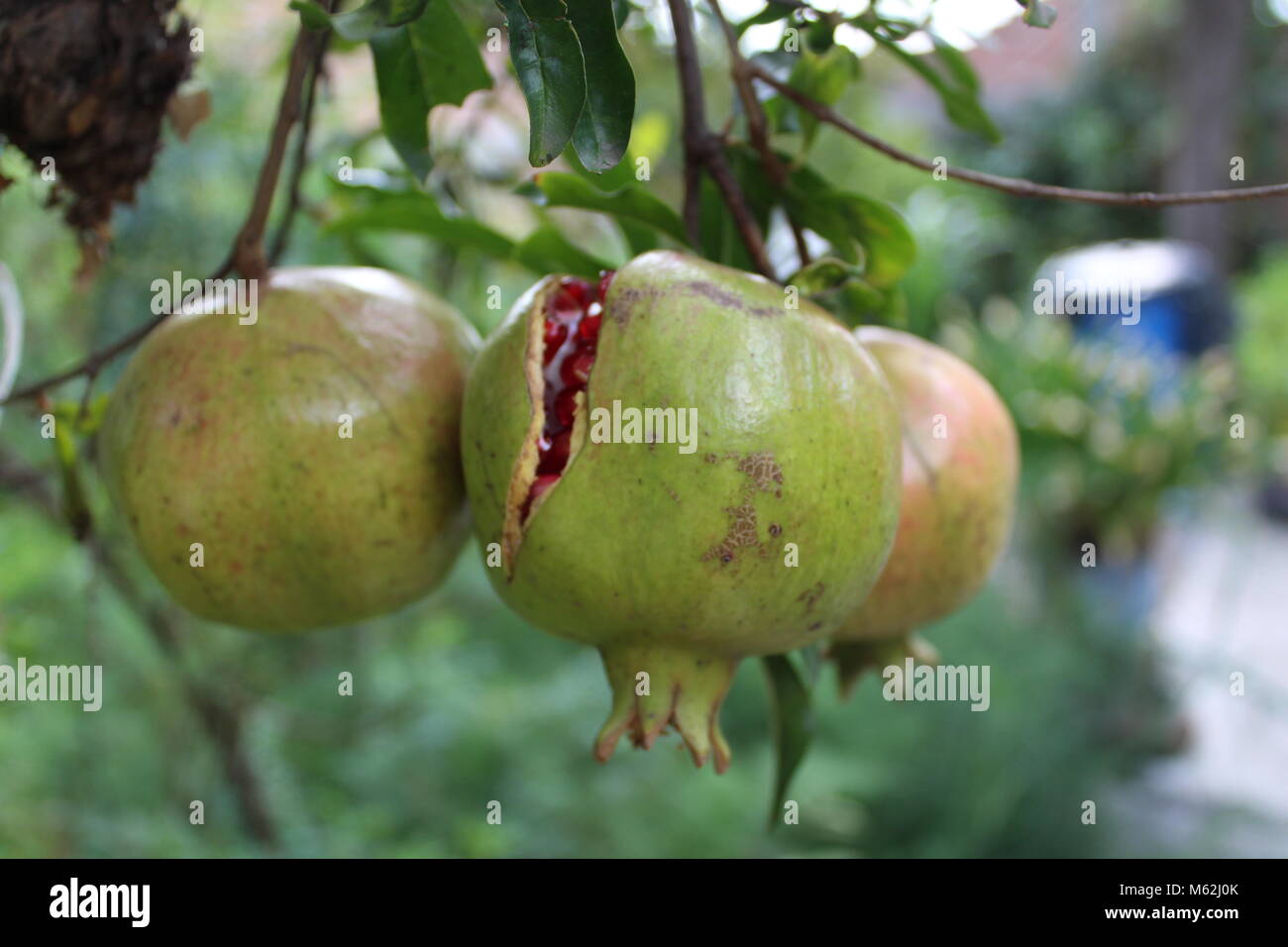 Interesting forms hi-res stock photography and images - Alamy