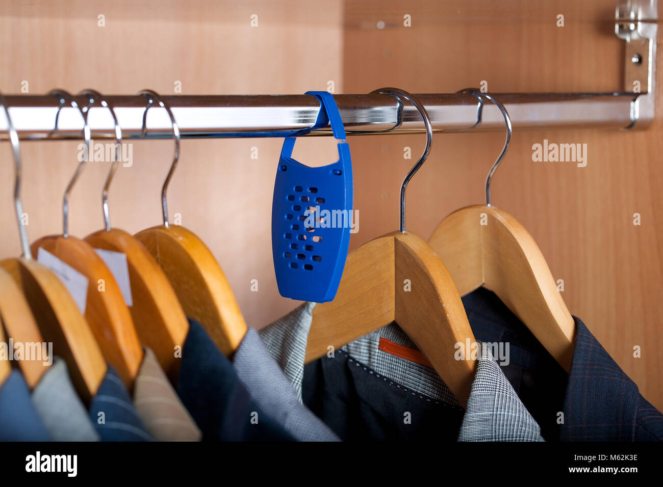 Clothes moth hi-res stock photography and images - Alamy