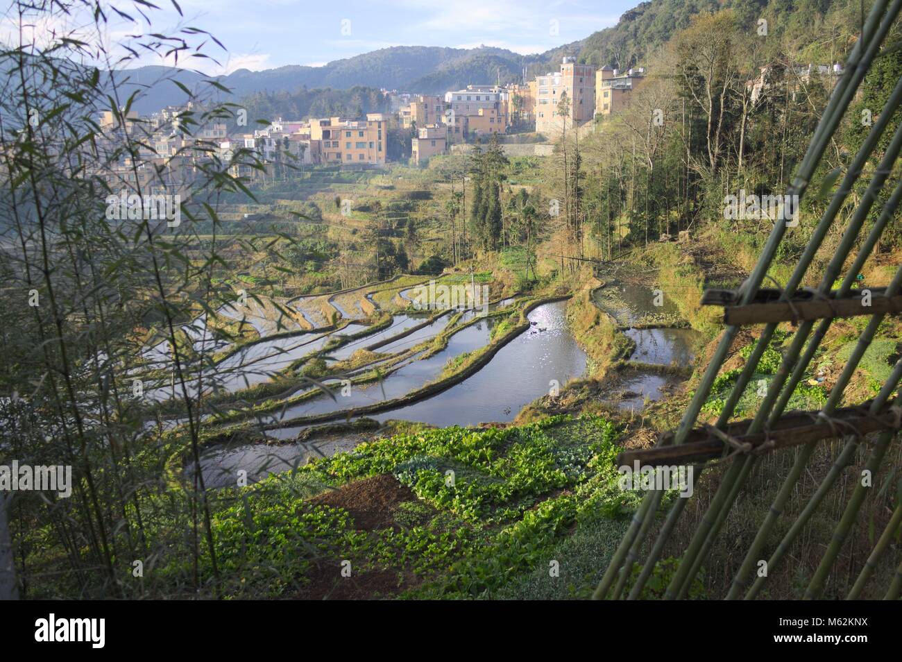 Rice terraces in Yuanyang (Yunnan, China Stock Photo - Alamy