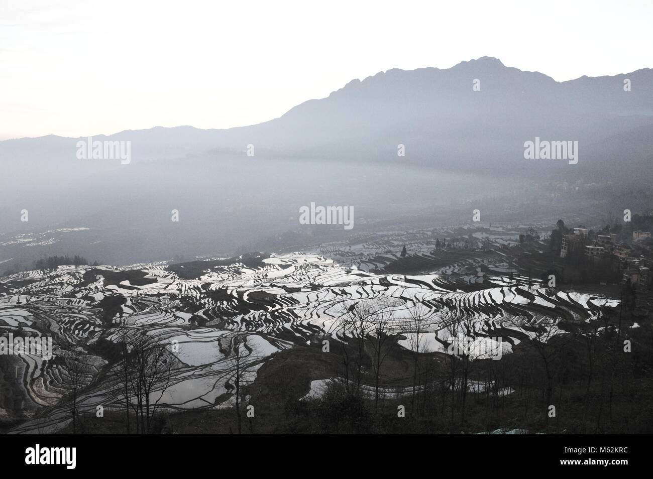 Panoramic view of Yuanyang Rice Terraces (Yuanyang, Yunnan, China Stock ...