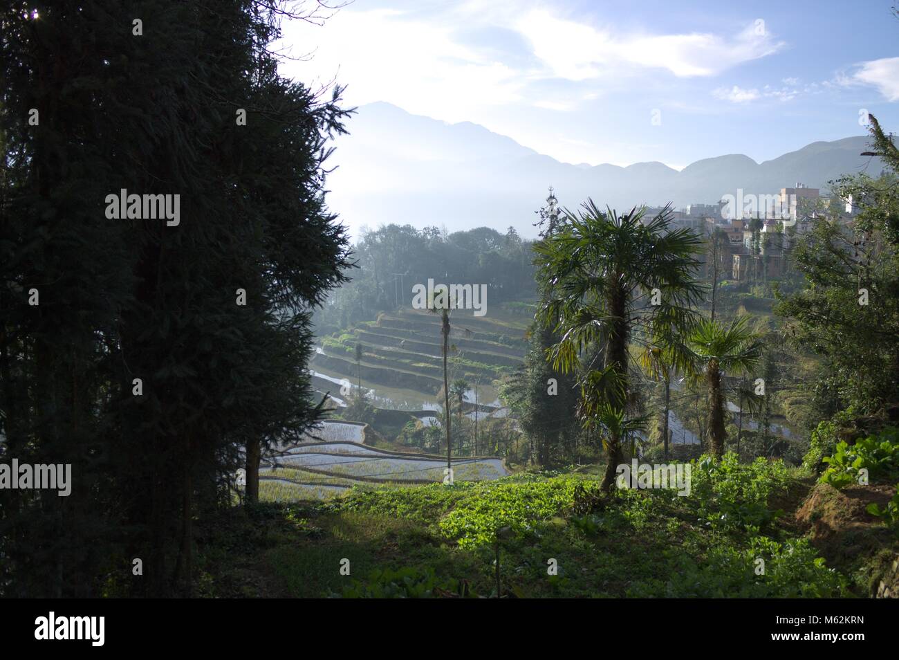 Rice terraces in Yuanyang (Yunnan, China Stock Photo - Alamy