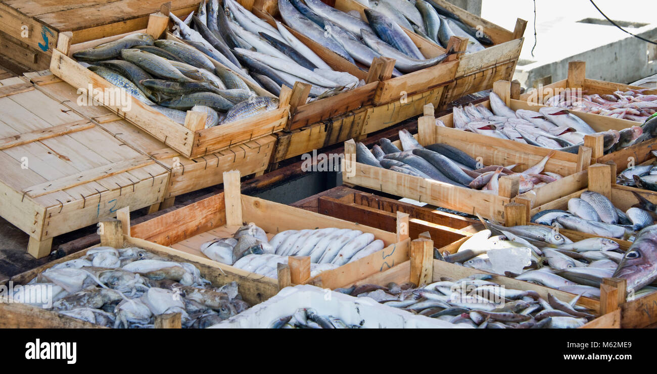 Fresh fish on sale on the market of the harbour of Bodrum, Turkey Stock ...