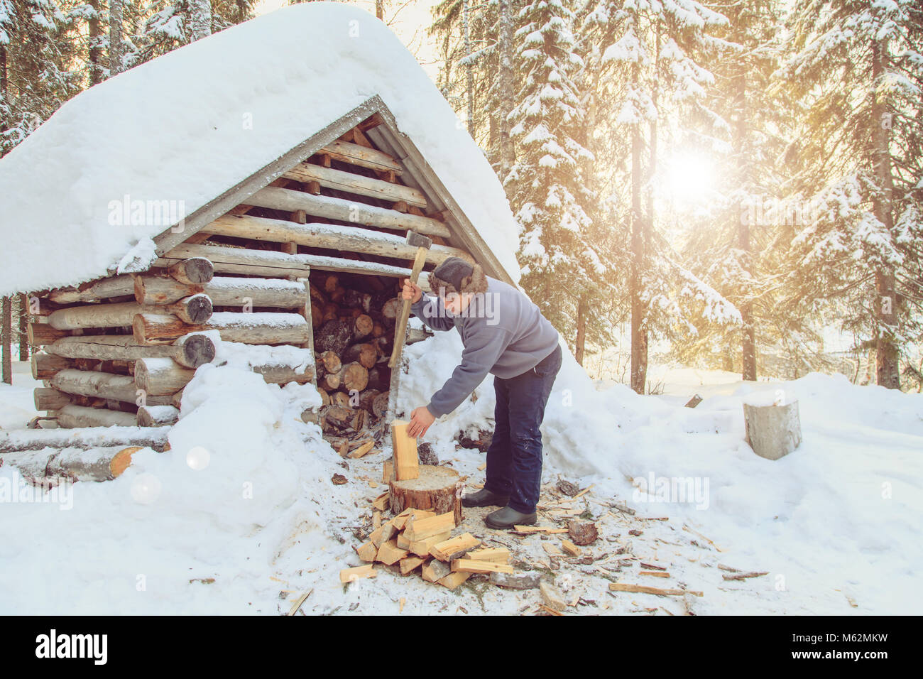 Man chopping wood in the forest near the hut. Frosty winter day Stock ...