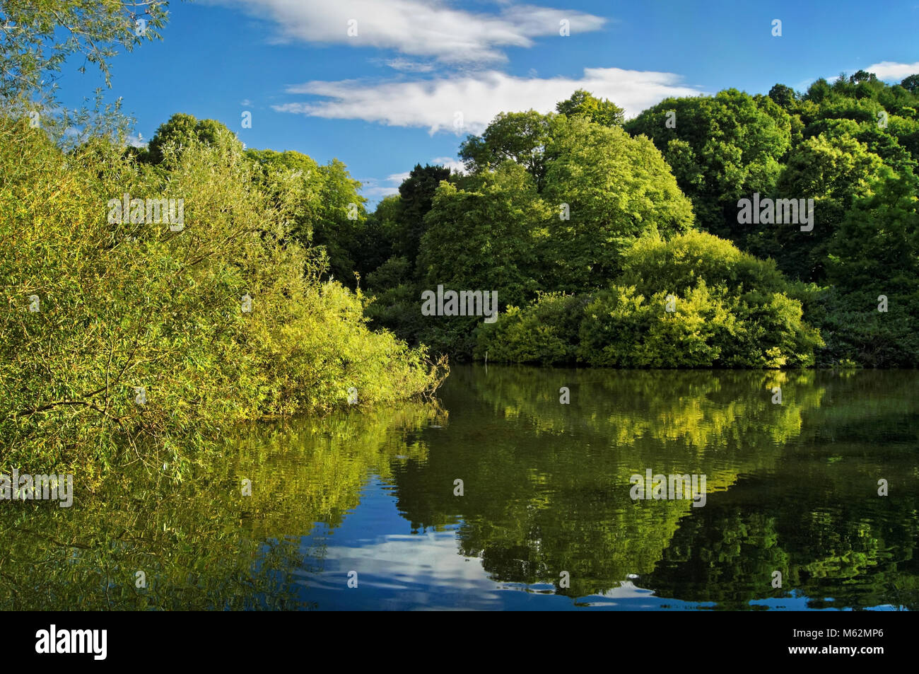 Yeovil pond hi-res stock photography and images - Alamy