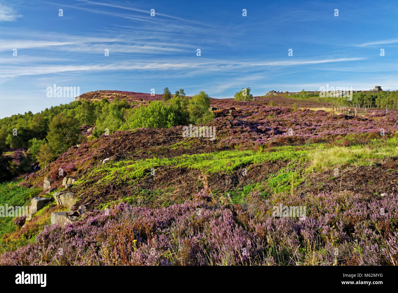 UK,Derbyshire,Peak District,Surprise View & Millstone Edge with Heather ...