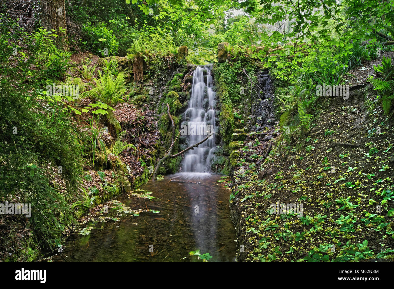 UK, Somerset, Yeovil, Ninesprings Country Park Stock Photo - Alamy