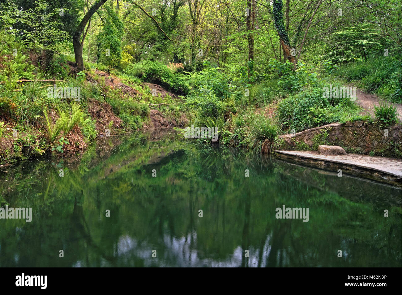 Yeovil country park hi-res stock photography and images - Alamy