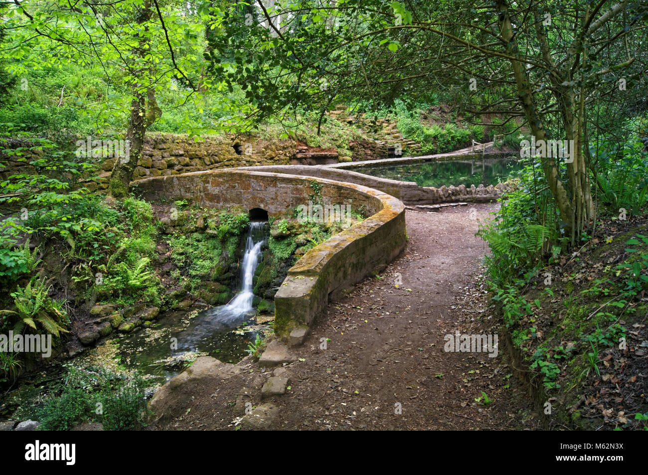 UK, Somerset, Yeovil, Ninesprings Country Park Stock Photo - Alamy