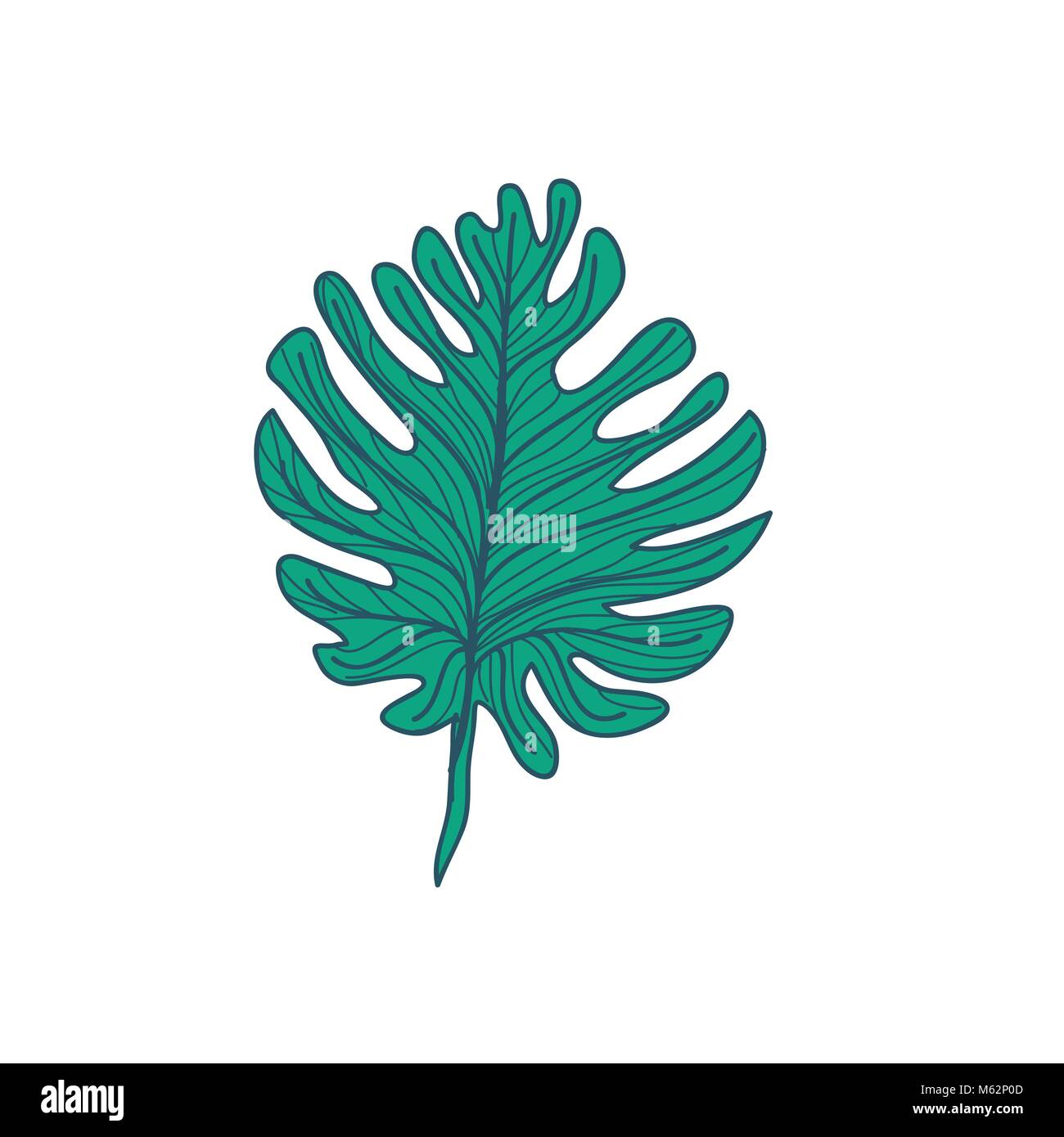 Lobed Tropical Leaf Hand Drawn Illustration Stock Vector Image & Art ...