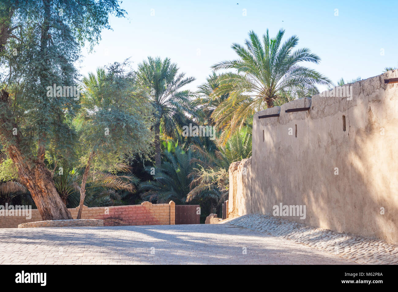 A traditional building the edge of Jimi Oasis in Al Ain, in the emirate ...
