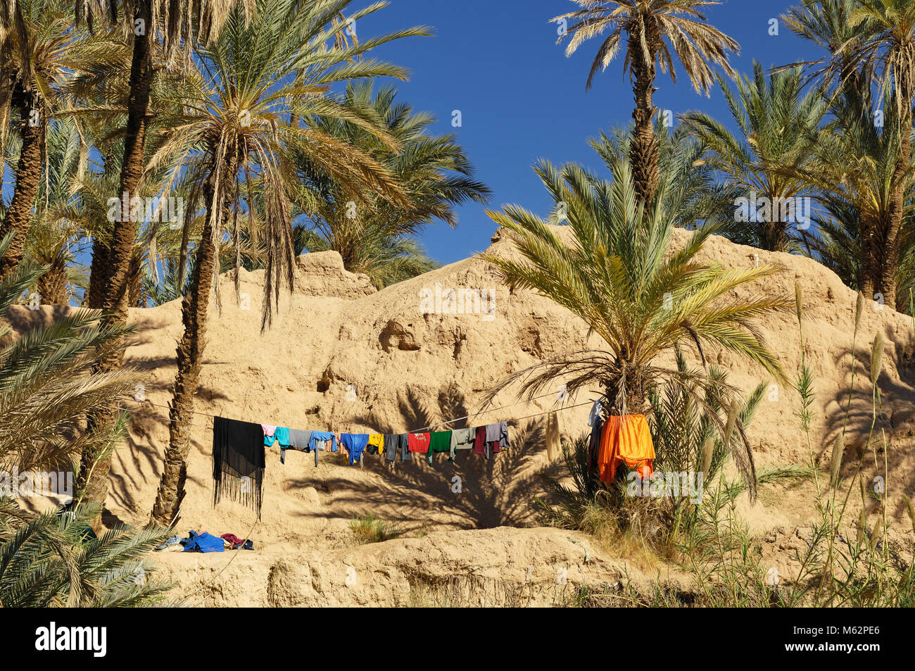 Oase wüste hi-res stock photography and images - Alamy