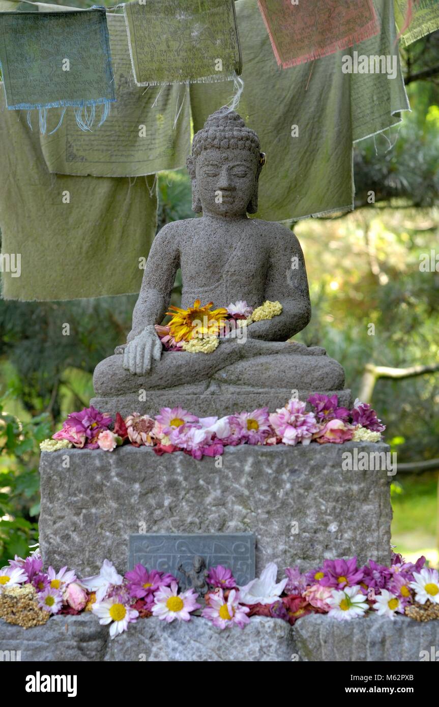 Budda hi-res stock photography and images - Alamy Budda hi-res stock photography and images - Alamy