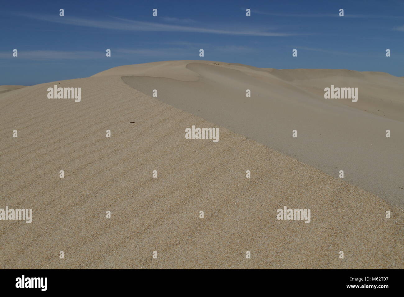 Eastern Cape Sand Dune Stock Photo - Alamy