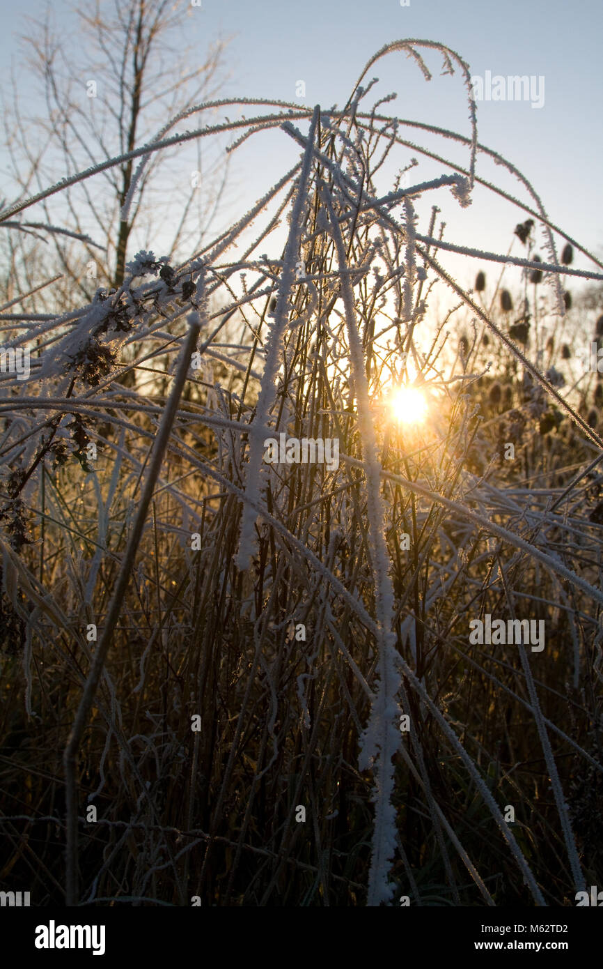 Into the Sun Stock Photo - Alamy