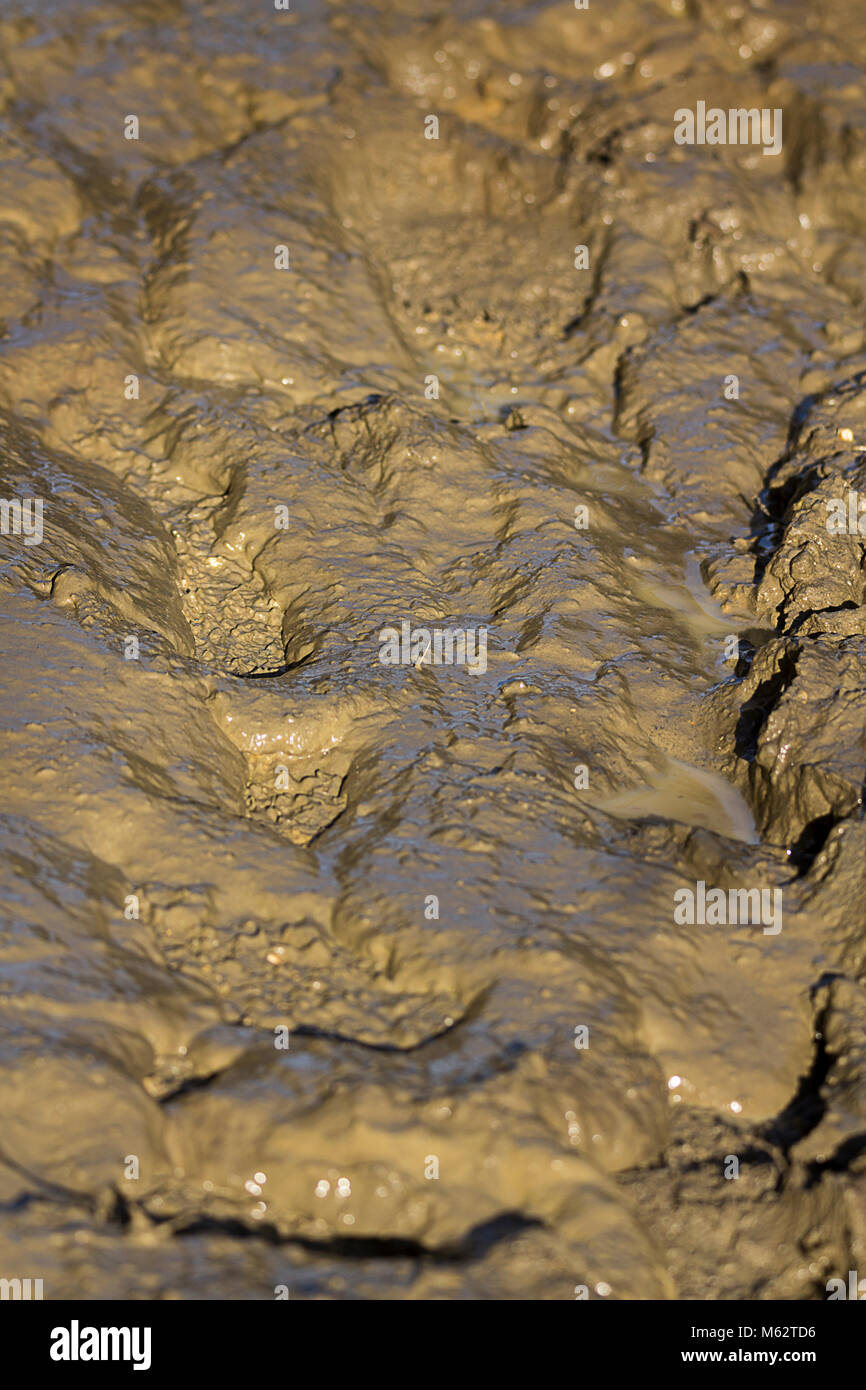 Walking boot into soft mud hi-res stock photography and images - Alamy