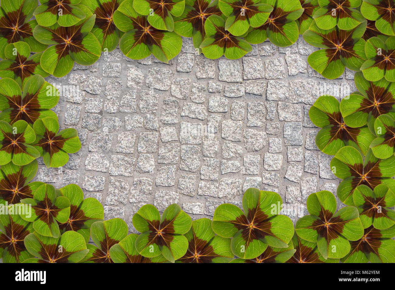 frame from lucky clover - background Stock Photo - Alamy
