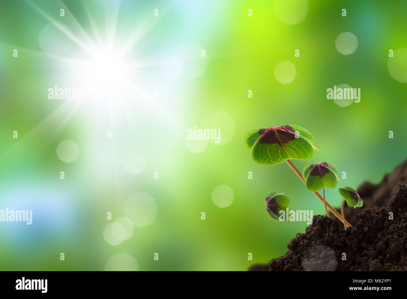Growth growing thriving soil hi-res stock photography and images - Alamy