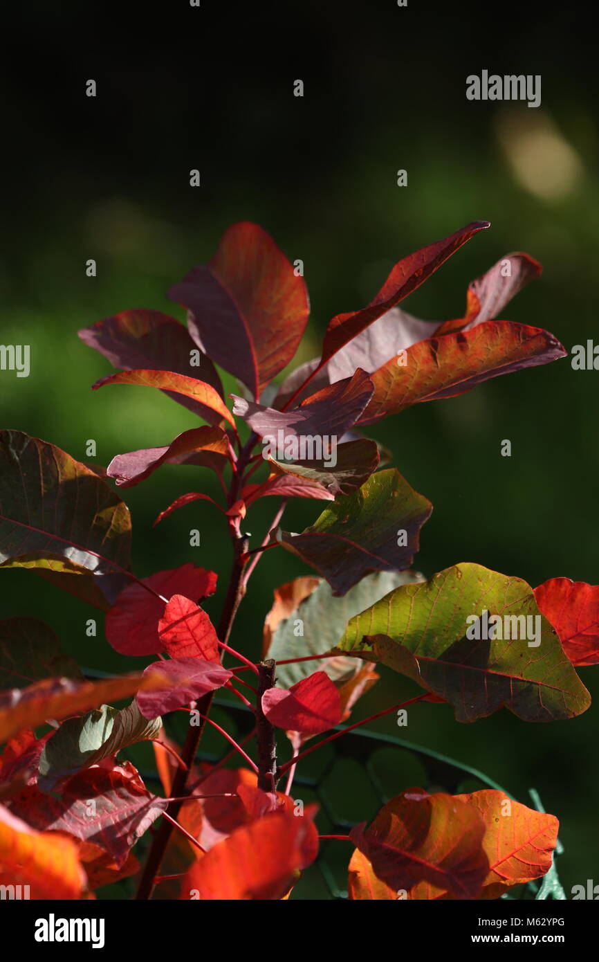 The perfect circle Stock Photo - Alamy