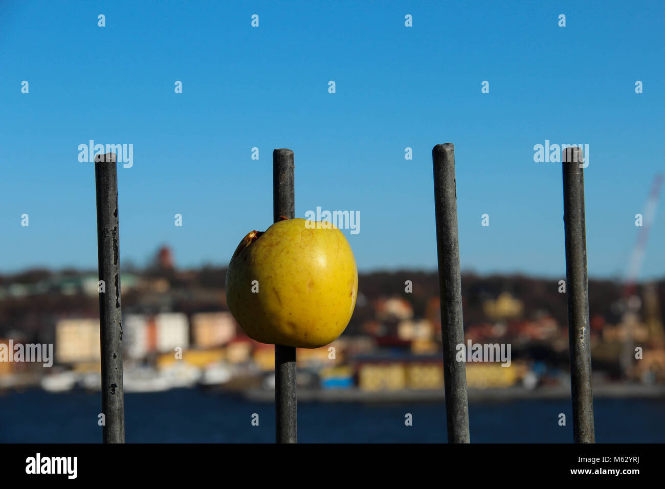Old apple core hi-res stock photography and images - Alamy