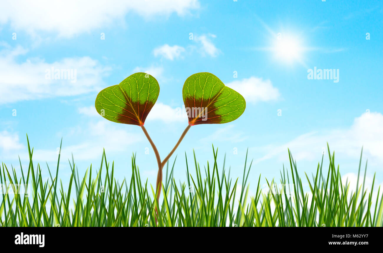 Spring fever hi-res stock photography and images - Alamy