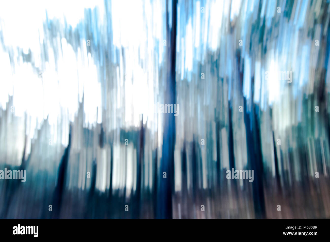 Abstract natural forms hi-res stock photography and images - Alamy