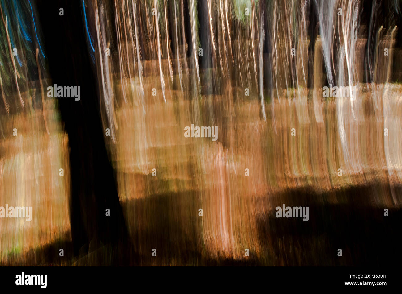 Motion blur textures hi-res stock photography and images - Alamy