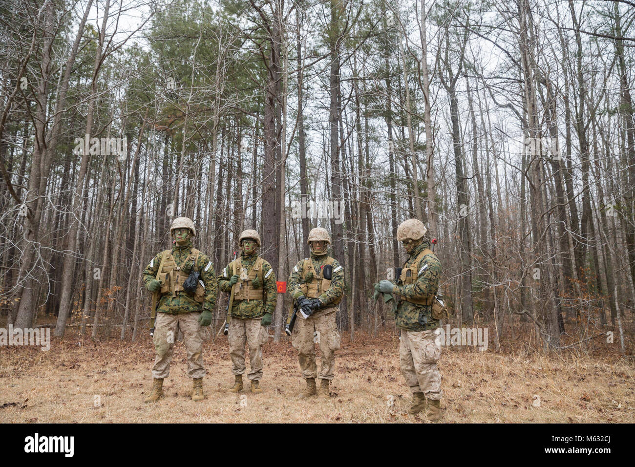 U.S. Marine Corps officer candidates participate in a small unit ...