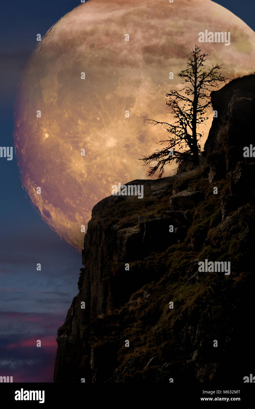 Moonlit landscape with tree hi-res stock photography and images - Alamy