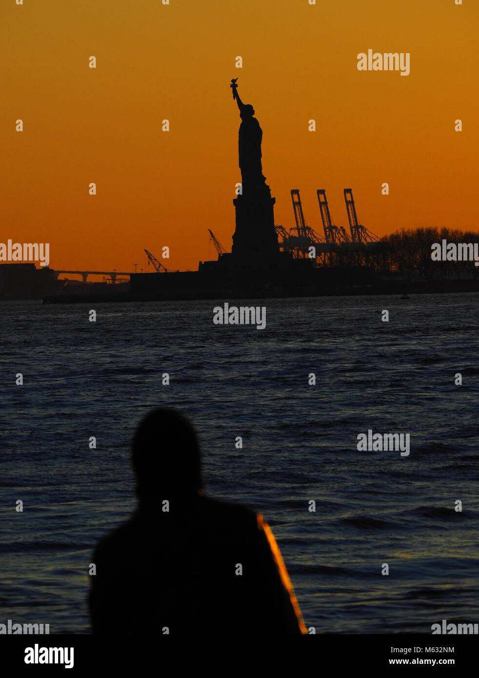Flying South During the Sunset Stock Photo - Alamy