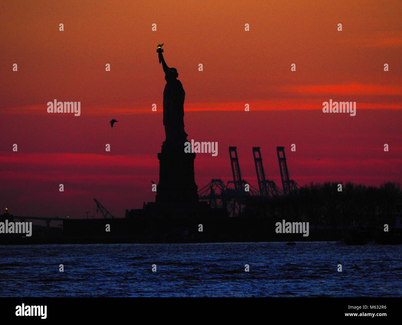 Flying South During the Sunset Stock Photo - Alamy