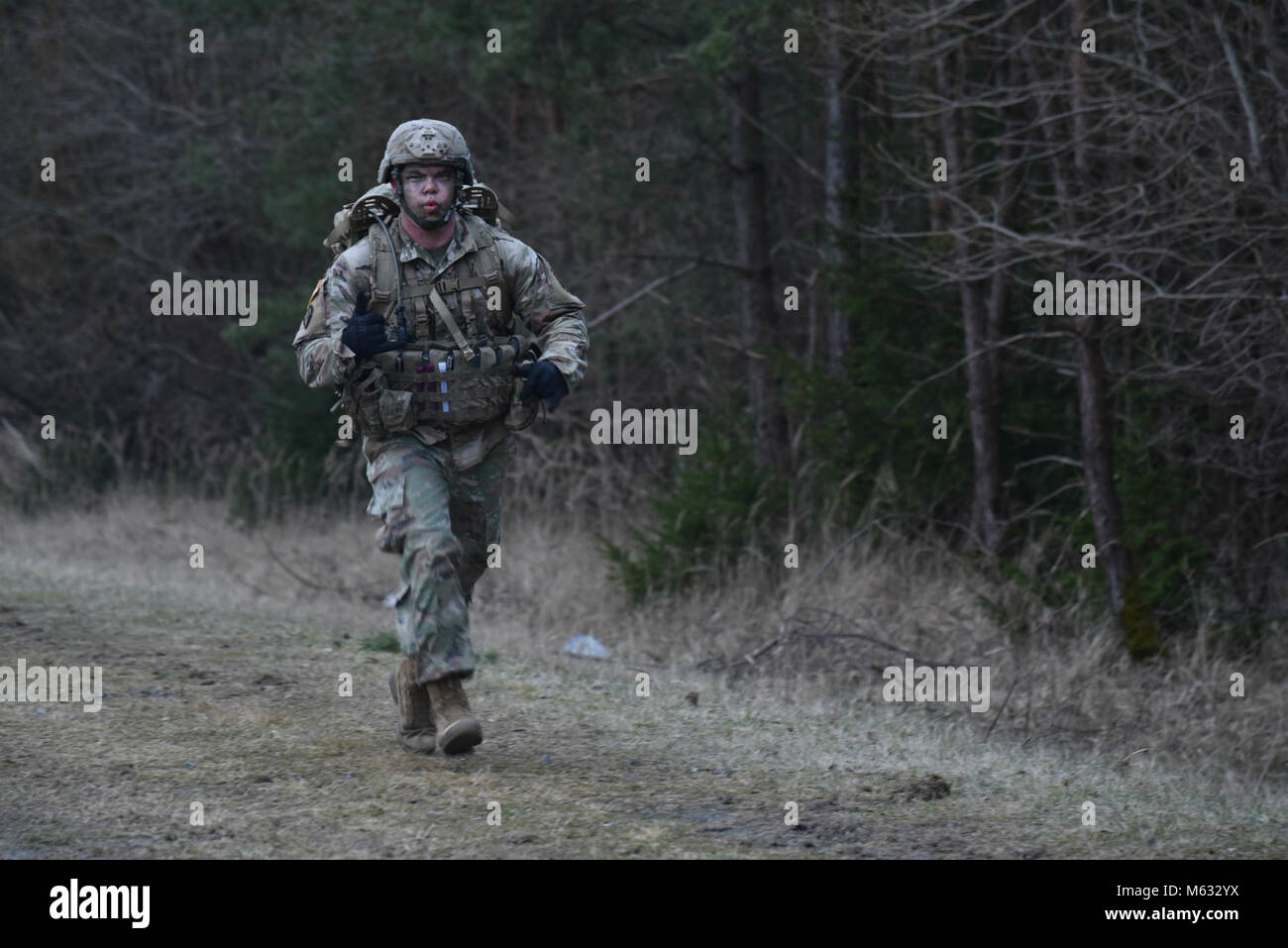 A U.S. Soldier with the 4th Battalion, 319th Airborne Field Artillery ...